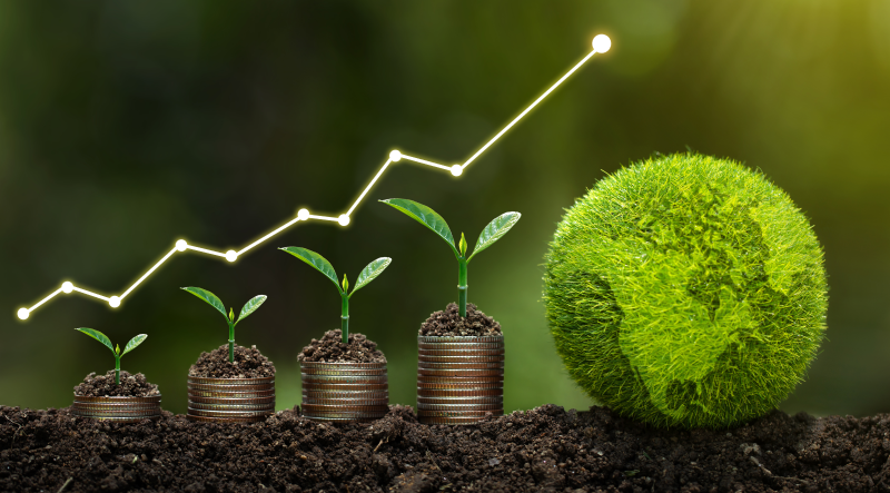 ¿Qué tiene que ver la economía con el medio ambiente?