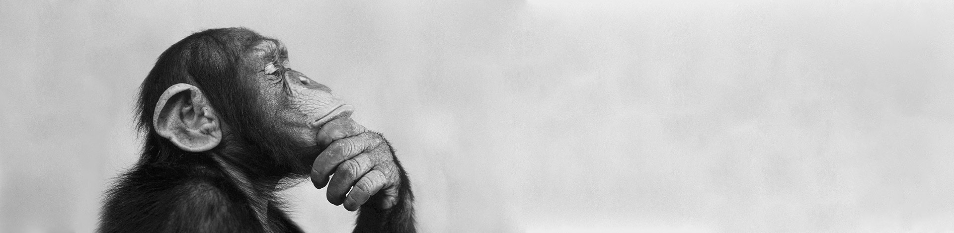 Descubre qué tipo de filósofo eres